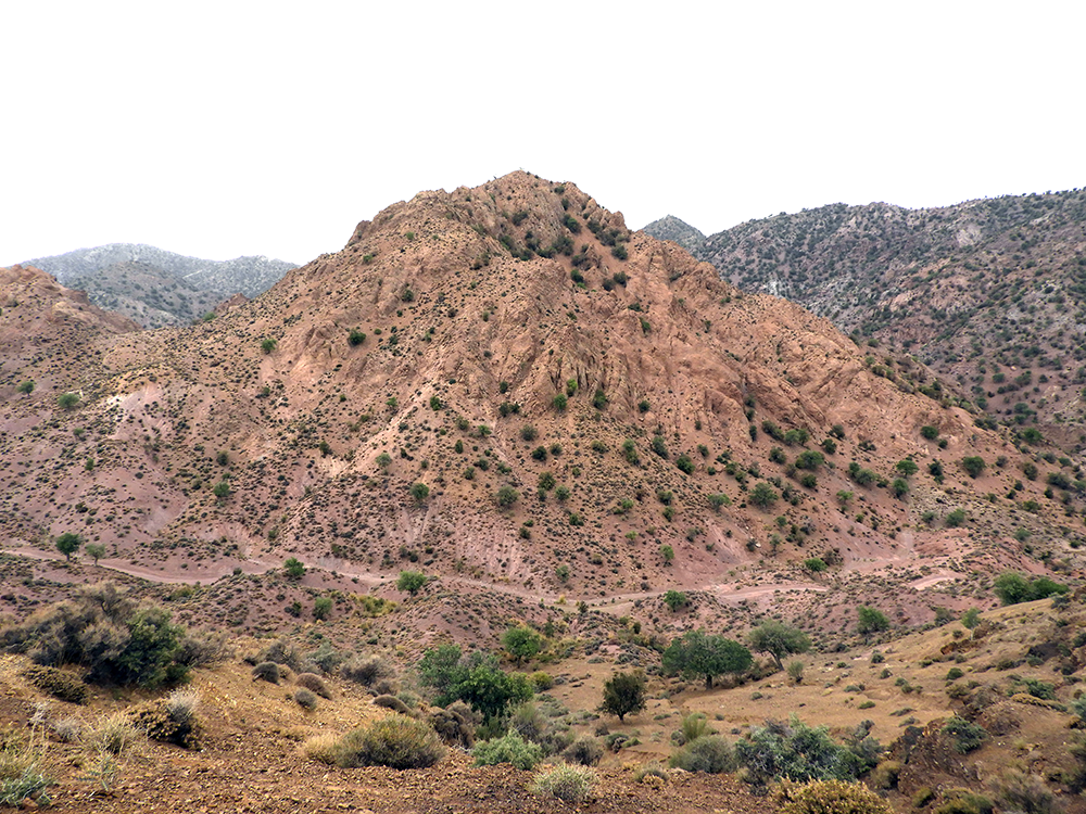 The Science – Jevie