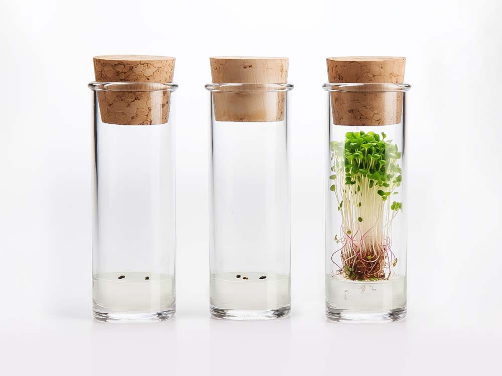 究極のオーガニックスキンケア - メイド イン ジャパン – Jevie